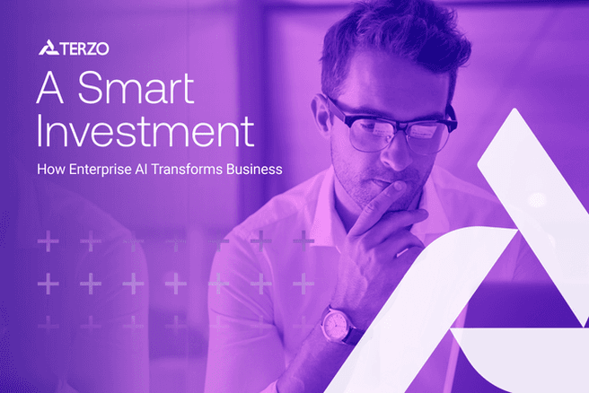 A Smart Investment: How Enterprise AI Transforms Business | Terzo
